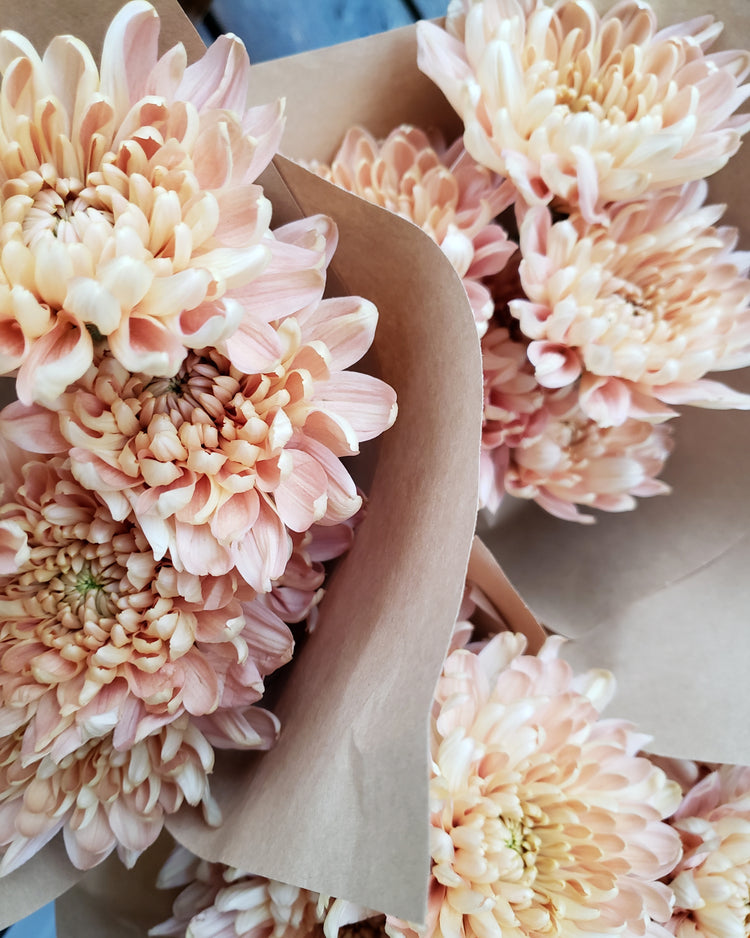 Bloom Therapy | Flower Shop, Powell River, BC